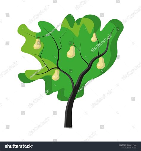 Plant Nursary Over Royalty Free Licensable Stock Vectors Vector Art Shutterstock