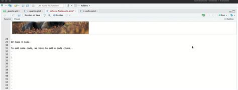 Data Reporting Using Quarto