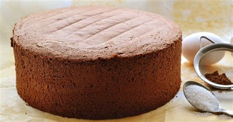 Chocolate Genoise Cake Kitchen Cookbook