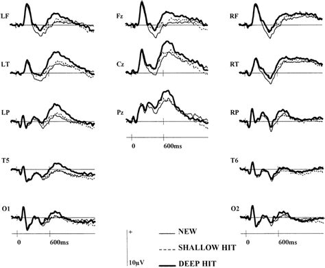 Experiment 1 Grand Average Event Related Potential Erp Waveforms