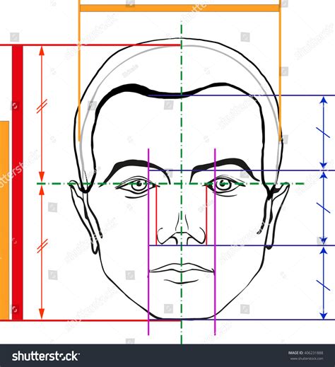 Head Proportions Vector Illustration Image Face เวกเตอร์สต็อก ปลอดค่า