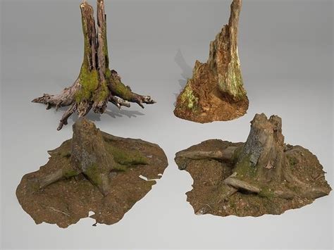Tree Root 3d Model Cgtrader