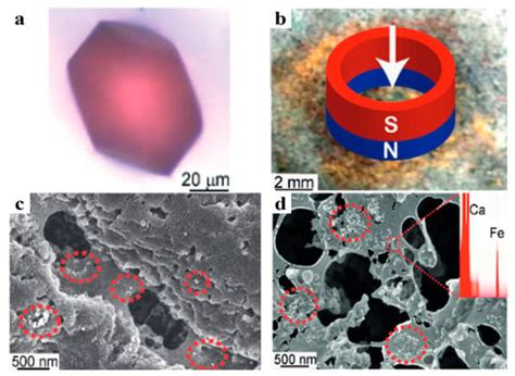 Polymers Special Issue Advances In Polymers Science And Technology From Nano Engineering To