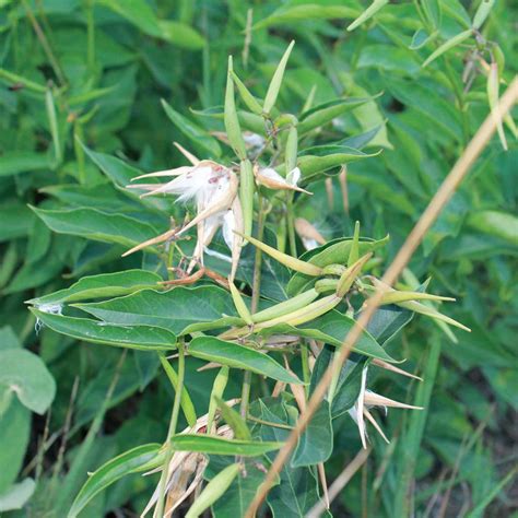 Ganaraska Conservation Terrestrial Ecology