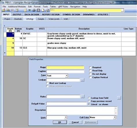 GINT Keynetix Add Tables And Fields To Project Database Structure In INPUT Communities