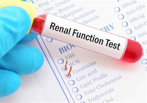 Renal Function Test Rft Best Pathology Lab And Diagnostic Centre