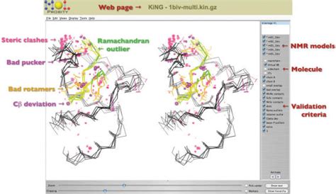 Multi Criterion Kinemage Of A 5 Model Nmr Ensemble In Side By Side