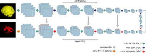 The 3d U Net Style Architecture With Full Size Images As Inputs And