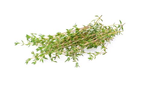 Le Thym Nos Produits Polytager