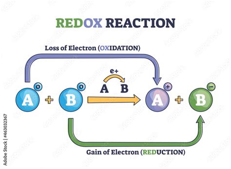 Scheme Oxidation And Reduction Reaction Of Cellulose Nanocrystals Hot