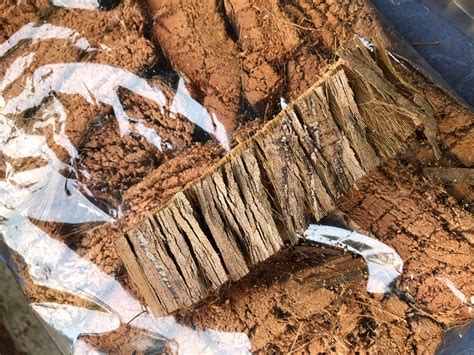 🌴🌴กาบมะพร้าวสับขน กาบมะพร้าวสำหรับปลูกกล้วยไม้และพืชต่างๆ