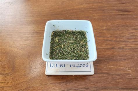 Catnip Tea 4 Real Cats React To Our Simple Recipe Lovetoknow Pets