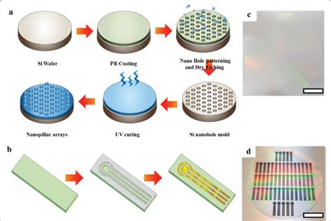 A Schematic Illustration Of Fabrication Process Of A Nanopillar Download Scientific Diagram