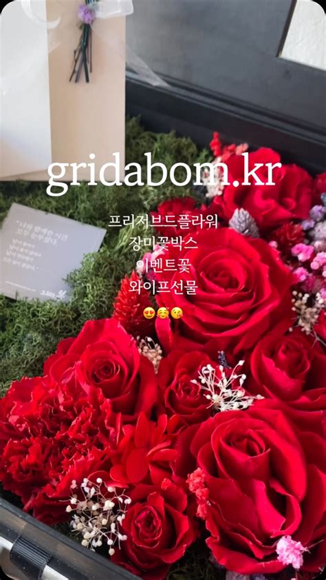 그리다봄 생화프리저브드플라워실크플라워 드라이플라워 프리저브드 장미 플라워 박스 《그리다봄 봄같은 꽃과 함께 보고싶고 그리운 사람을 만나보세요 언제나