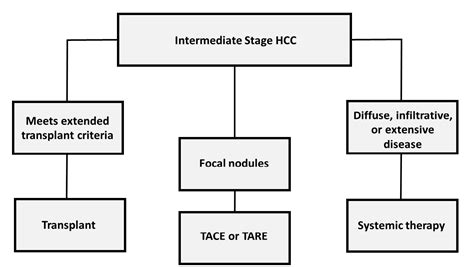 Current Perspectives On The Bclc Staging System For Hepatocellular