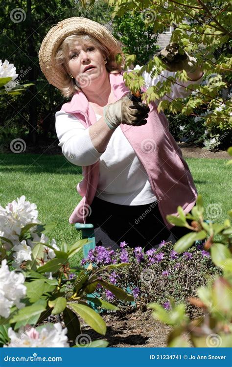 Maturew Woman Pruning A Tree Stock Image Image Of Gloves Boomer