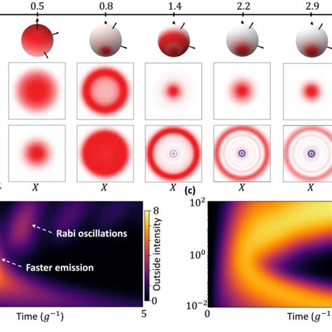 Quantum State Dynamics In Dicke Superradiance A Wigner Functions Of