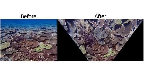 New Algorithm Solves Century Old Problem For Coral Reef Scientists