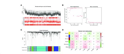 Weighted Co Expression Network Construction A Dendrogram And Trait Download Scientific