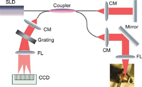 Schematic Of The Oct System Fl Focusing Lens Dg Diffraction