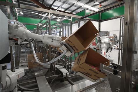 Rsc Robotic Casepacker Packing Doypacks Hmps