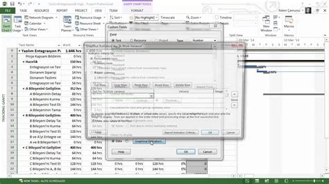 Ms Project Custom Fields 4 Graphic Indicators Youtube