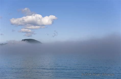 Convection Over Sea Fog