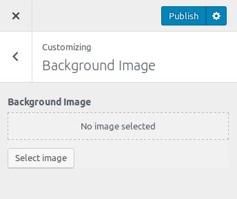 Customizer Settings Codestag
