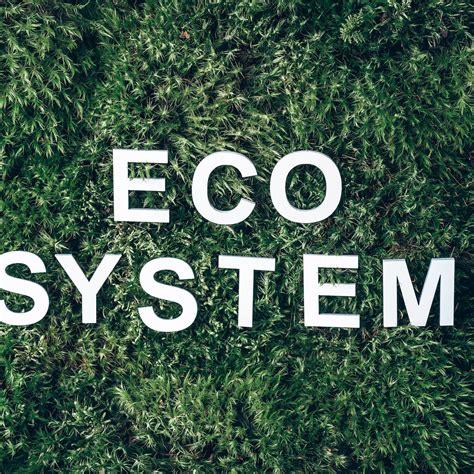 Qblue What Is A Smart Learning Ecosystem