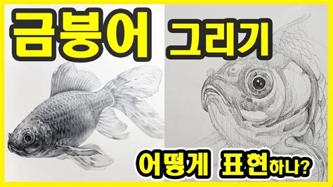 금붕어 연필로 그려보기 금붕어그리기 금붕어스케치 연필소묘 Youtube