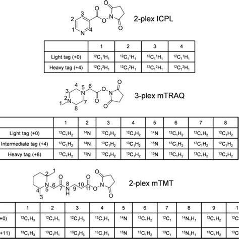 The Structure And Isotope Distribution Of 2‐plex Icpl 3‐plex Mtraq And Download Scientific