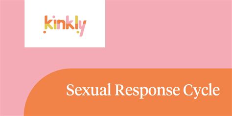 Sexual Response Cycle Kinkly Straight Up Sex Talk With A Twist