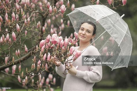 봄 아름 다운 낭만적 인 빨간 머리 소녀 흰색 레이스 드레스와 투명 우산으로 개화 나무 근처에 서 있는 청바지 카메라를 보고 비 아래도로 근처의 젊은 모델 가을에 대한 스톡