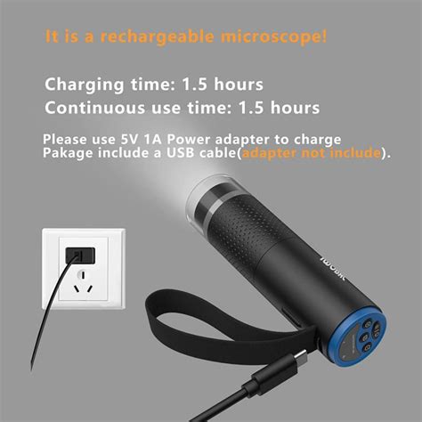 How To Identify Fungi Under A Microscope