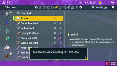 Pokemon Held Items