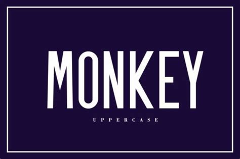 Monkey Sans Serif Font Dafont Free