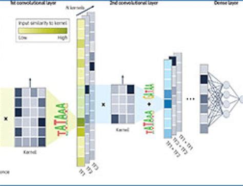 Single Cell Rna Sequencing Analysis A Step By Step Overview Rna Seq Blog