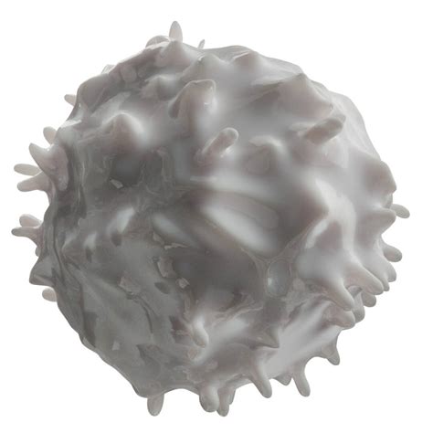 Lymphocytes Pack 3d Model By Zames1992d
