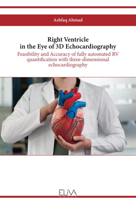 Right Ventricle In The Eye Of 3d Echocardiography Feasibility And Accuracy Of Fully Automated