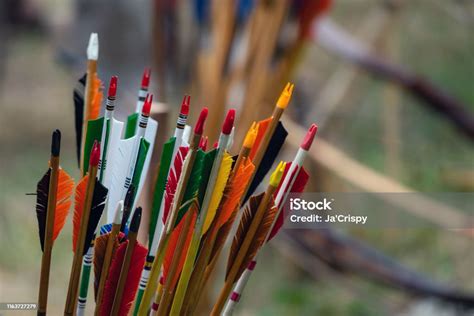 양궁을위한 활 화살표의 무리 다채로운 아처 경쟁 대상에 촬영 0명에 대한 스톡 사진 및 기타 이미지 0명 Championship 가죽 Istock