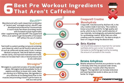 Pre Workout Ingredients That Work At Dollie Guth Blog