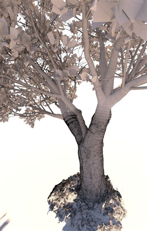 3d Cherry Tree Mature Prunus Avium E Turbosquid 1779575