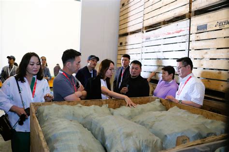 Төрийн бодлого үйлдвэрлэгчдийн хүч хөдөлмөр ард түмний сонголт бол шадар гурван цэрэг юм