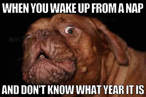 I Woke Up Like This Go Back To Sleep Meme