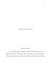 Week The Structure And Function Of DNA The Structure And Function Of DNA The Structure