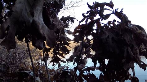 Regen Gum Island Youtube