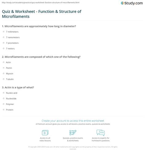 Quiz Worksheet Function Structure Of Microfilaments Study