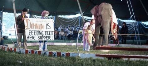 High Grass Circus Alchetron The Free Social Encyclopedia