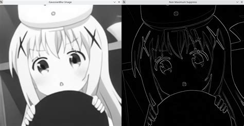 canny边缘检测算法的原理和实现 aynakeya s blog
