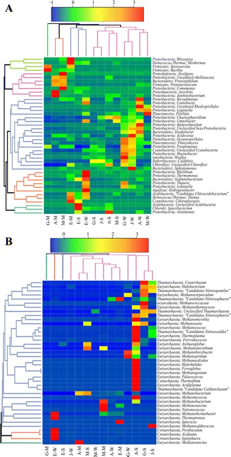 the hierarchical clustering based on bray curtis dissimilarity between